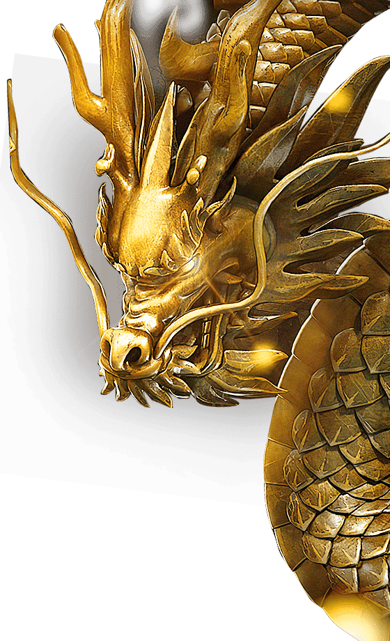 longtou.png (560×920)-花瓣网